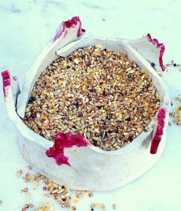 Chicken Scratch Feed: All You Need To Know Before Feeding