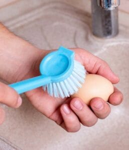 Washing Eggs: Why and How to Clean Eggs?