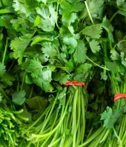 17 Best Greens for Chickens To Feed - ChickenJournal