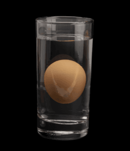 Egg Float Test: Myths, Procedure, Chart, Hypothesis vs. Reality